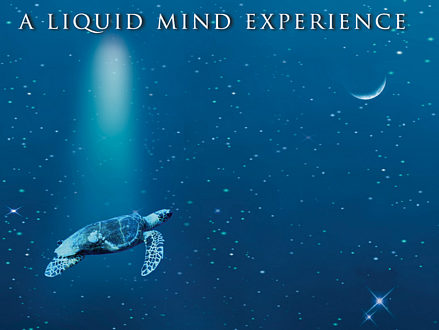 Liquid Mind Resource Guide - New Age Music Guide